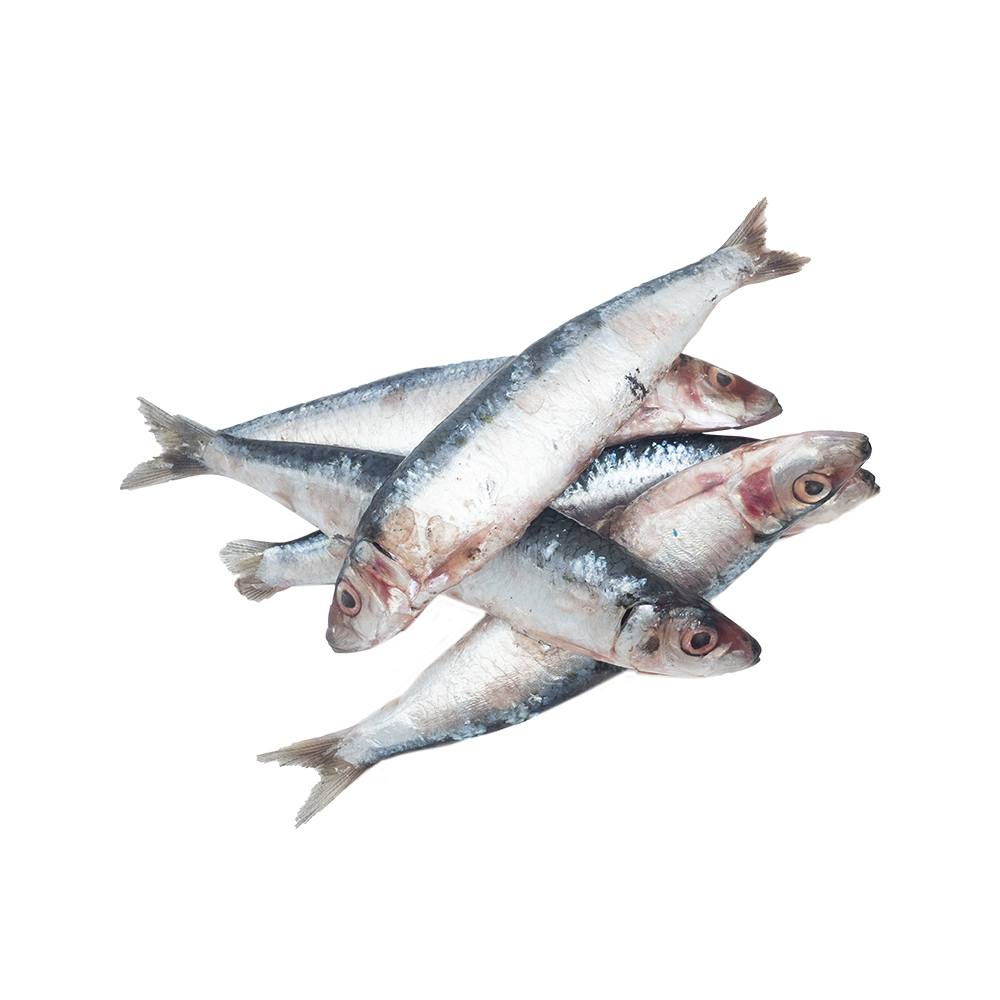 Slide https://essstr.blob.core.windows.net/essimg/ItemAsset/Pic941016.jpg