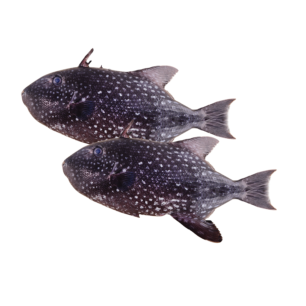 Slide https://essstr.blob.core.windows.net/essimg/ItemAsset/Pic941049.jpg